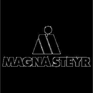 Magna Steyr | Graz, Austria - Team Quality Services